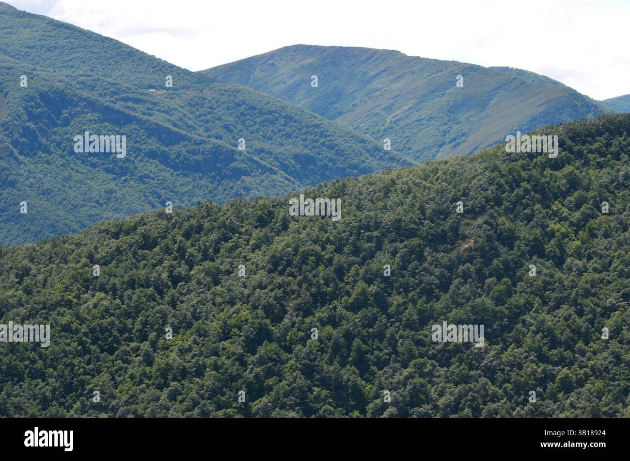 Deciduous forests in the Cantabrian Mountains range (Leon, Northern ...