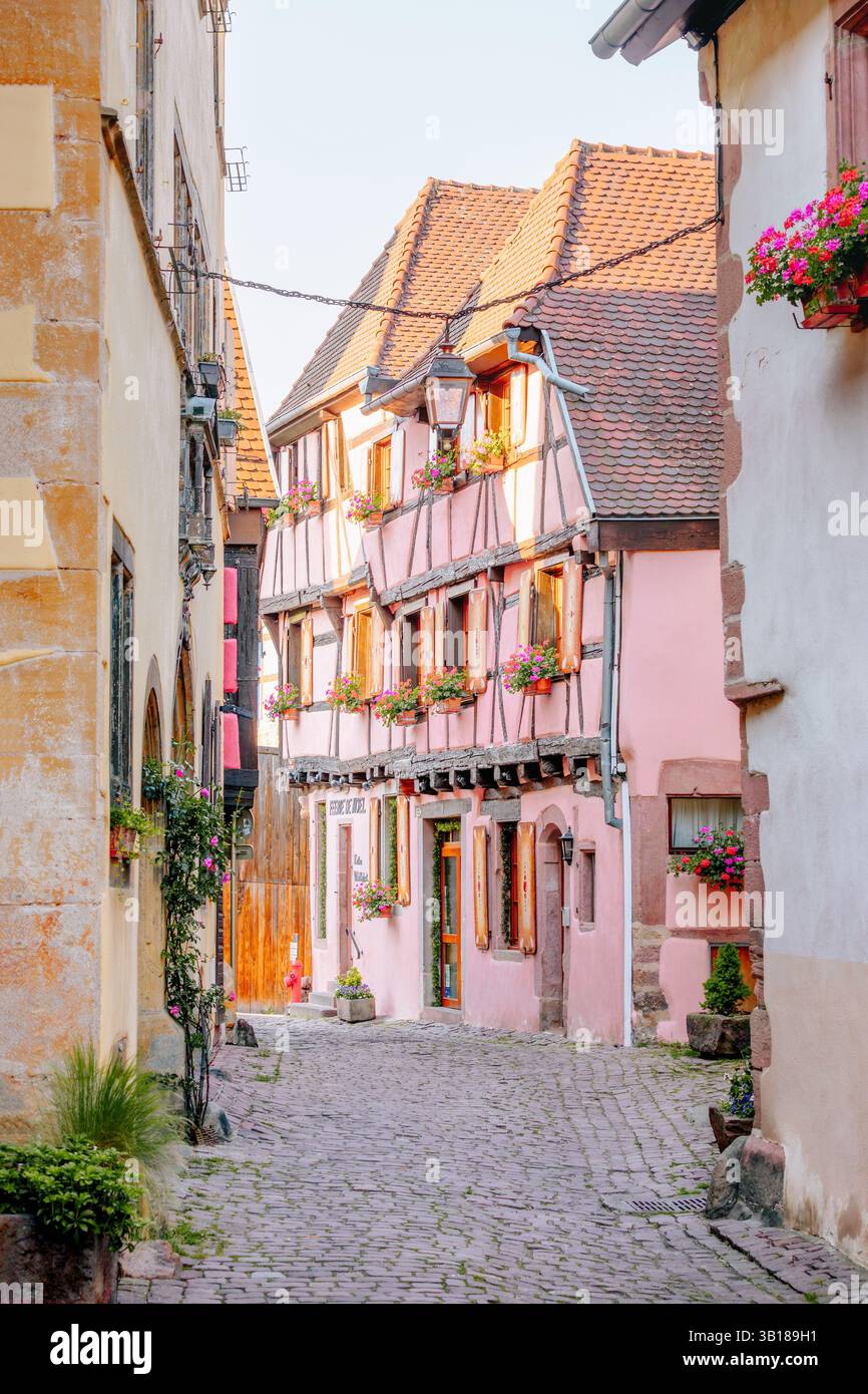 Traditional half-timbered houses in the medieval village of Riquewihr ...