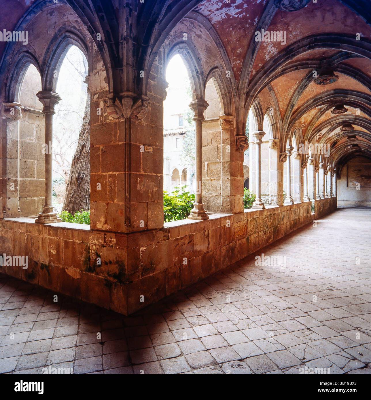 Claustro del Monasterio de San Jerónimo de la Murtra (Sant Jeroni de la ...