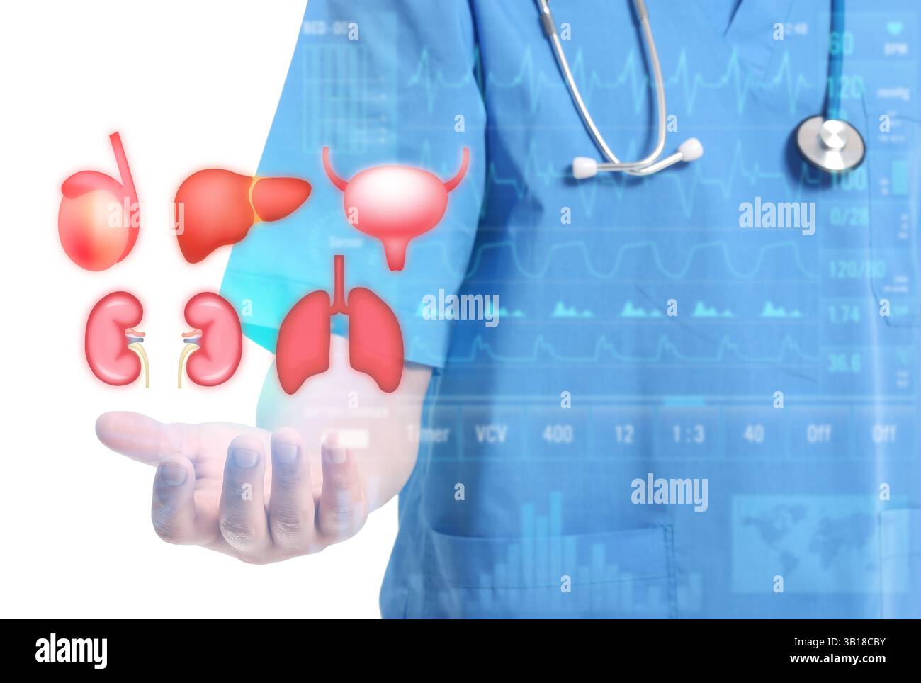 Doctor and human organs on virtual screen against light background ...