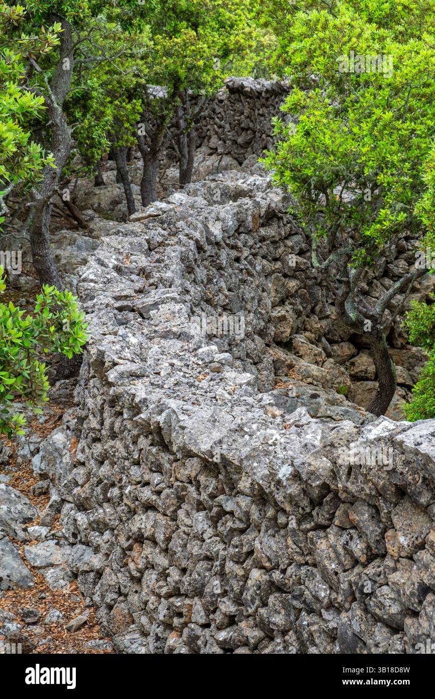 Traditional stone wall - Pedre en Sec - Fita del Ram, Esporles, Serra ...