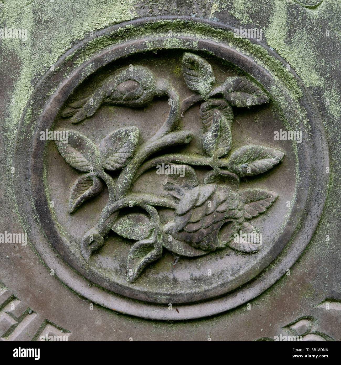 Old gravestone hi-res stock photography and images - Alamy