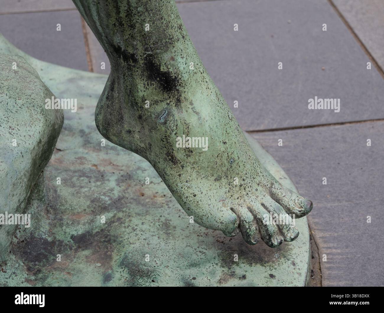 Hermaphrodite hi-res stock photography and images - Alamy