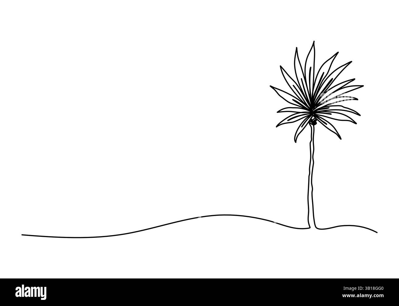 Palm tree full green Cut Out Stock Images & Pictures - Alamy