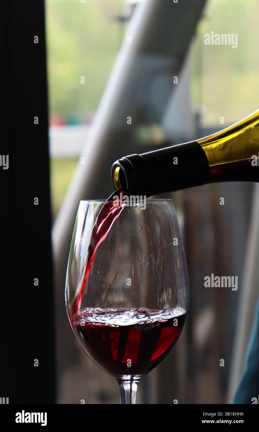 French wine being served in a restaurant in the Meudon (France) forest ...