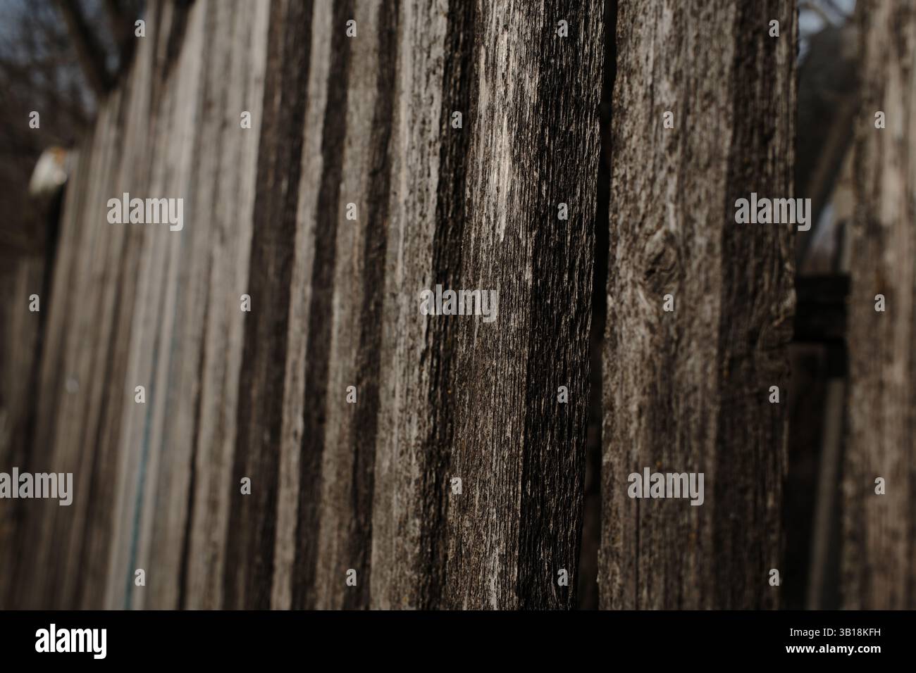 A close-up of a weathered wooden fence showcases the rough texture and ...