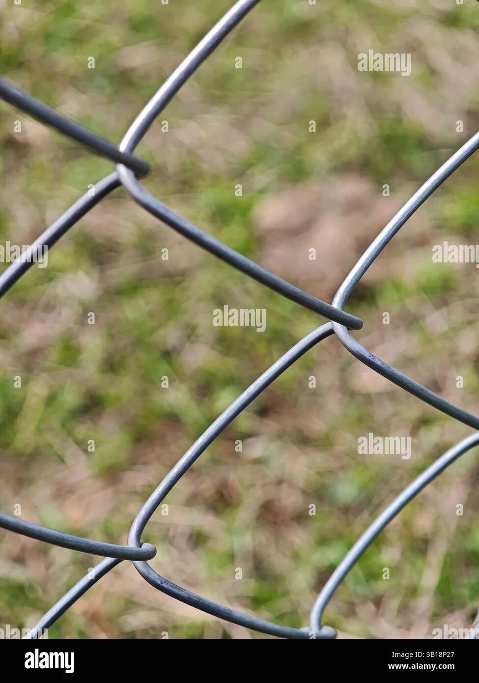 Metal wire mesh fence creating a secure barrier around a vibrant green ...