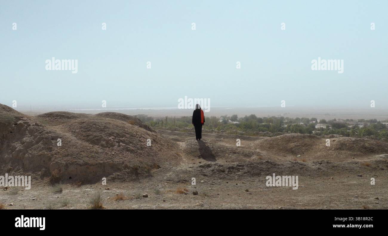 The Last Ambassador (2025) Manizha Bakhtari is Afghanistan’s only ...