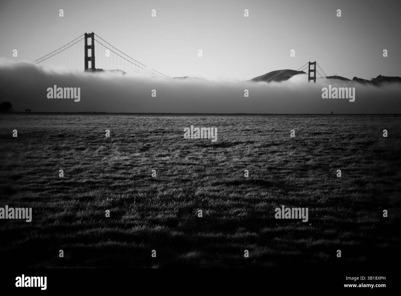 Golden layer Black and White Stock Photos & Images - Alamy