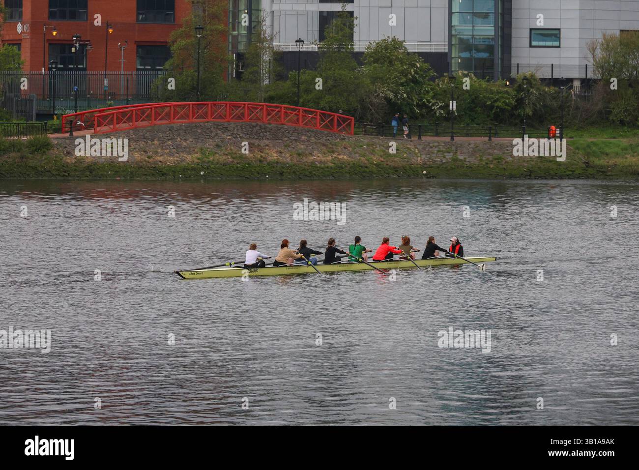 Rowers river lagan hi-res stock photography and images - Alamy