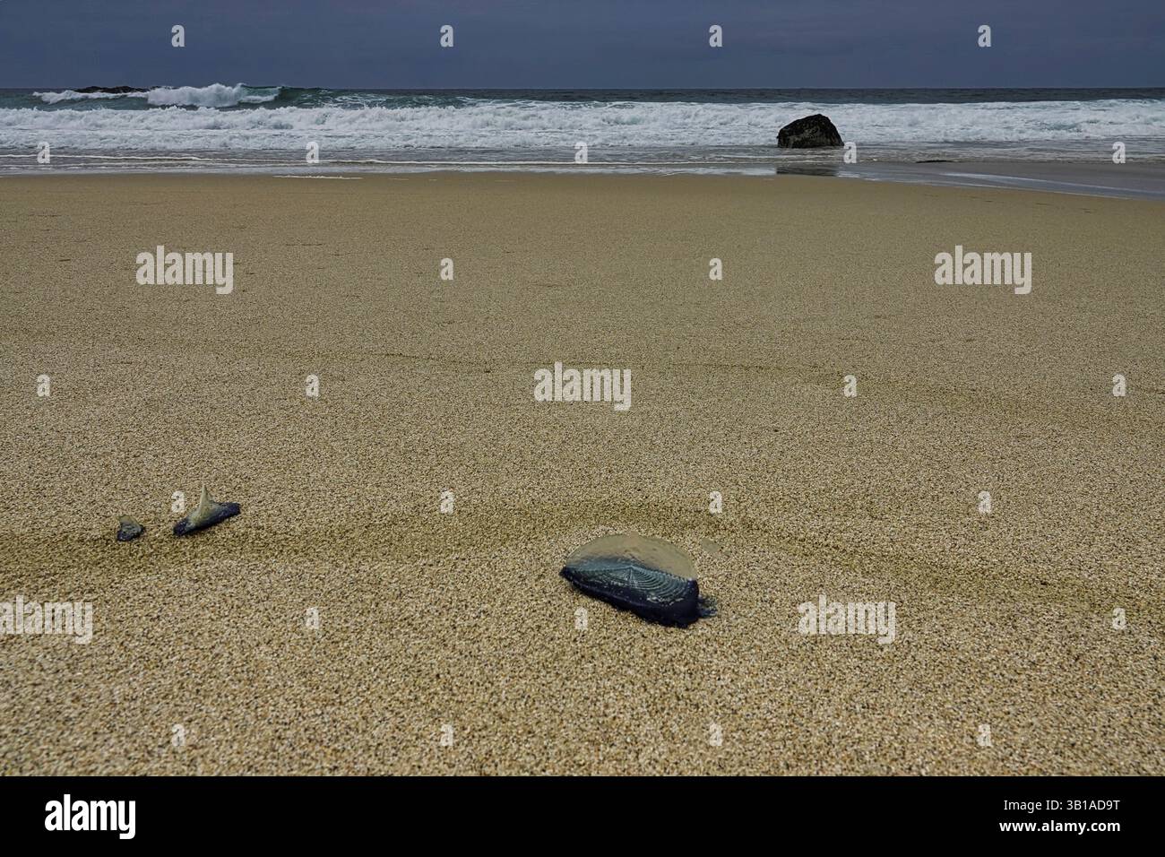 Garrapata State Park and Beach, Monterey County, California - 23rd ...