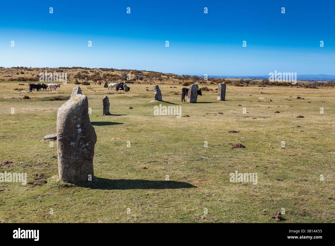 The Hurlers Stone Circles, Minions, Linkinhorne, Near Liskeard ...