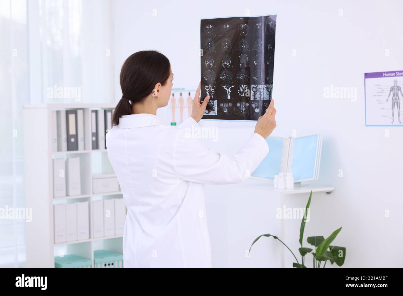 Doctor examining MRI scan in hospital, back view Stock Photo - Alamy