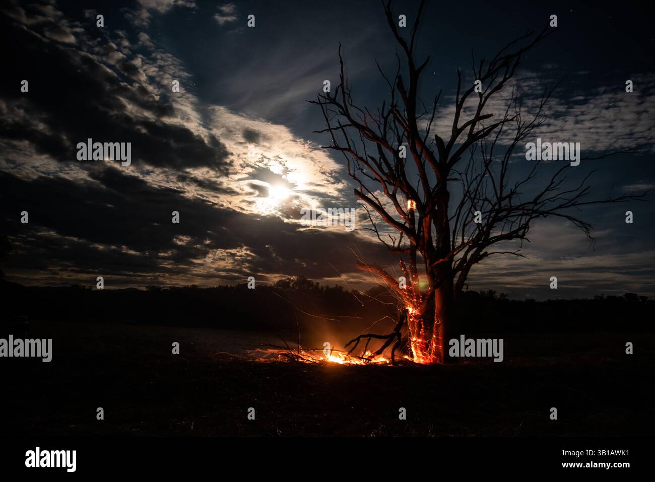 Birds on fire wildfire hi-res stock photography and images - Alamy