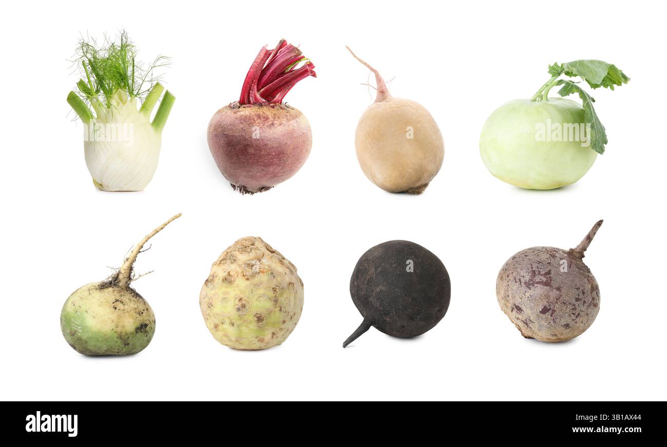Different root vegetables isolated on white, set Stock Photo - Alamy