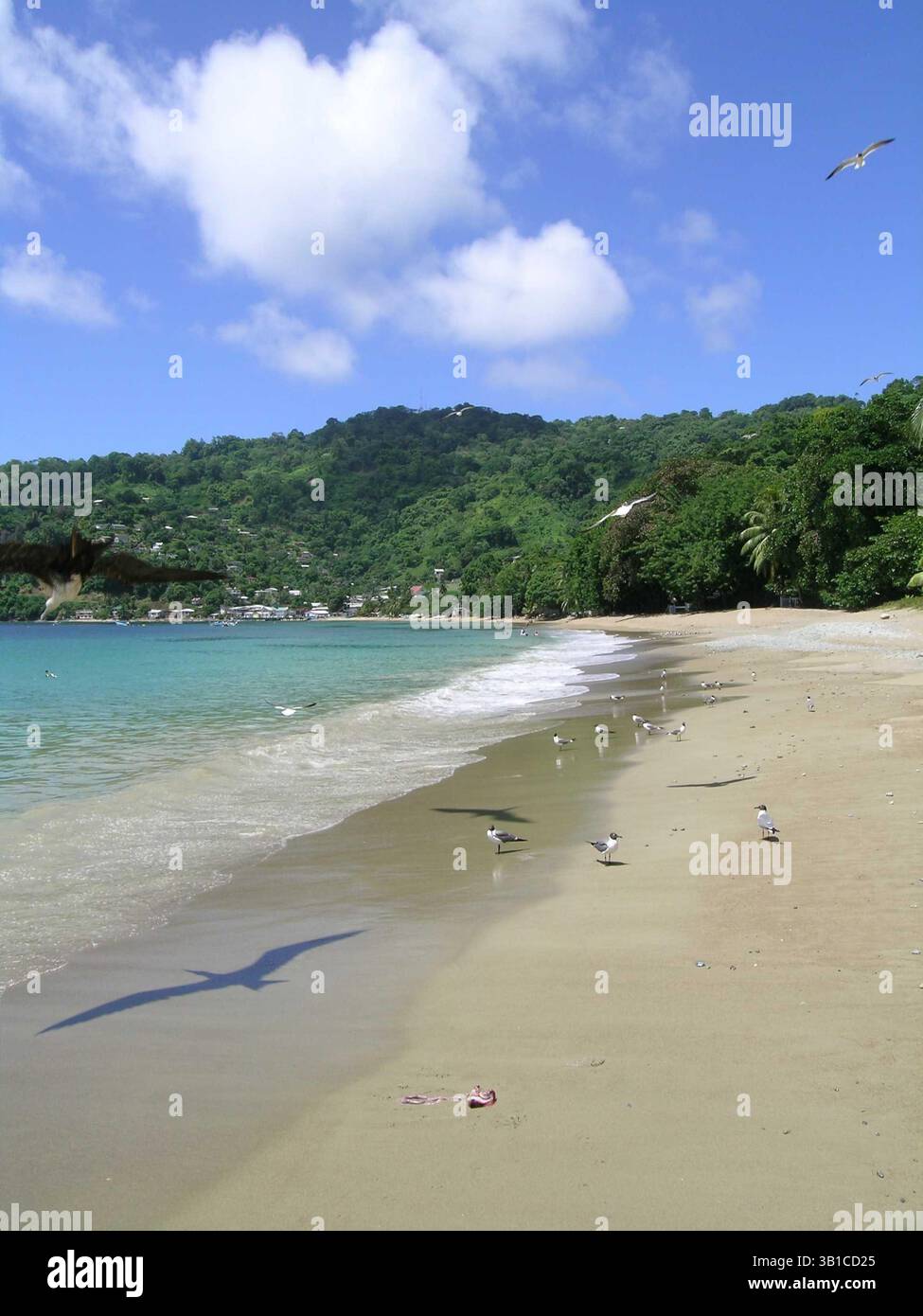 Isla de la selva hi-res stock photography and images - Alamy
