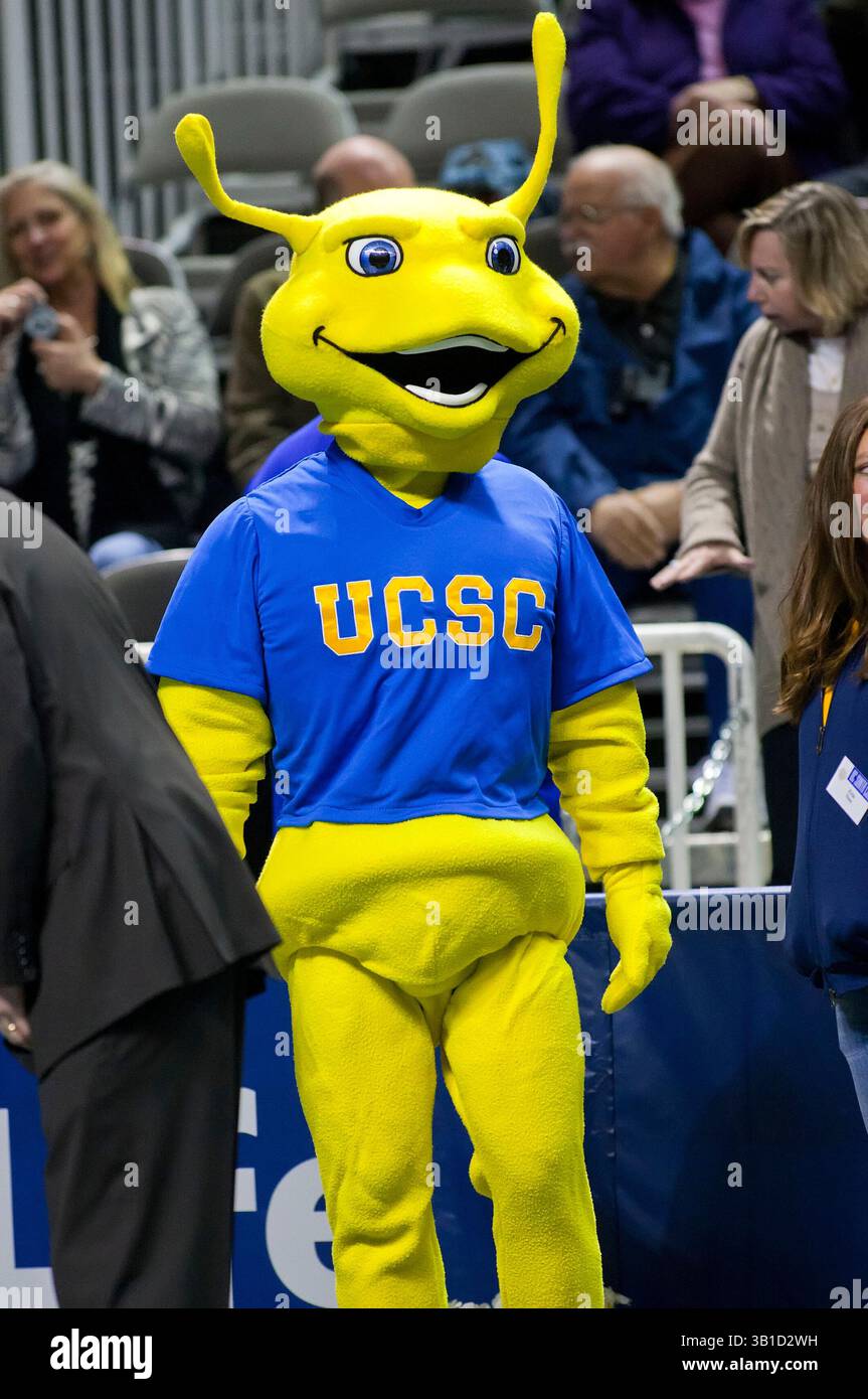 Banana slug mascot hi-res stock photography and images - Alamy