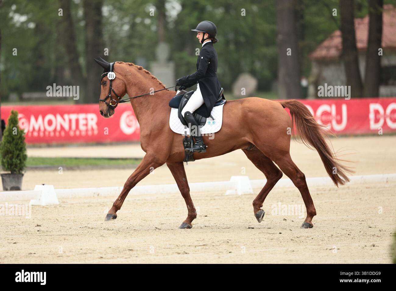 Amy Rose Frühwirth of Austria with Cassius P during the CCI3*-L ...