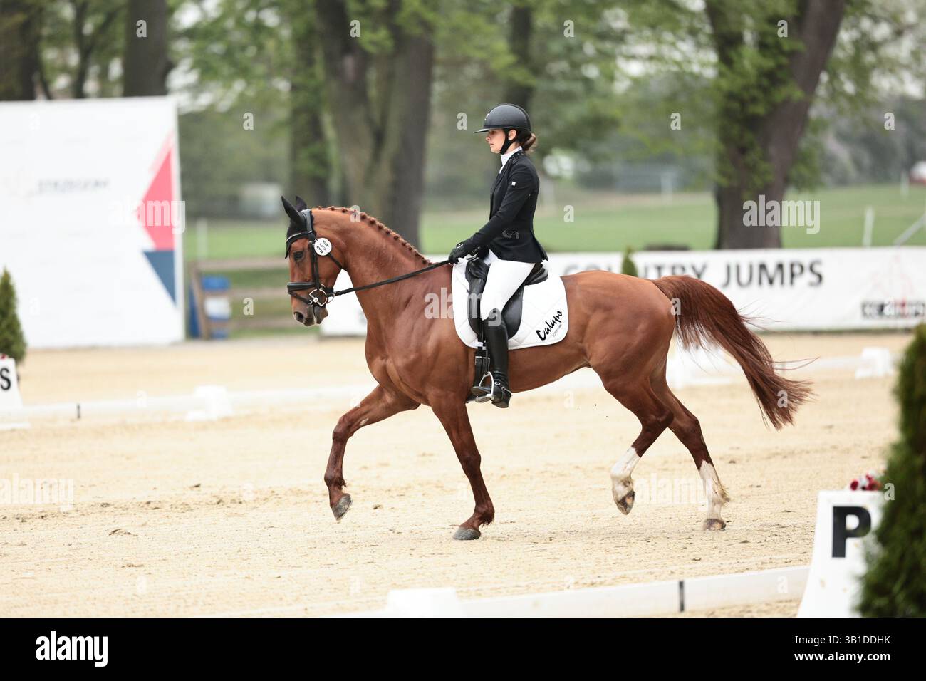 Magdalena Zellhofer of Austria with Kahoku during the CCI3*-L dressage at the Strzegom Spring ...