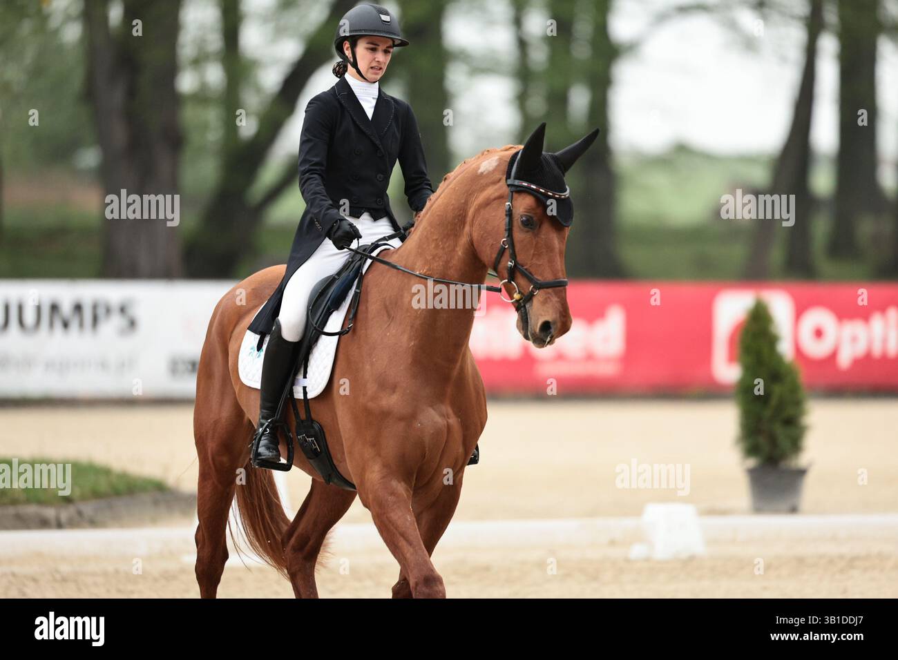 Amy Rose Frühwirth of Austria with Cassius P during the CCI3*-L ...