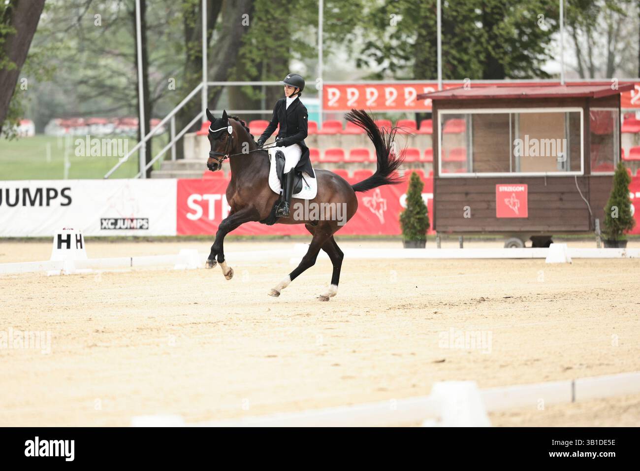 Gin tonic 150 hi-res stock photography and images - Alamy