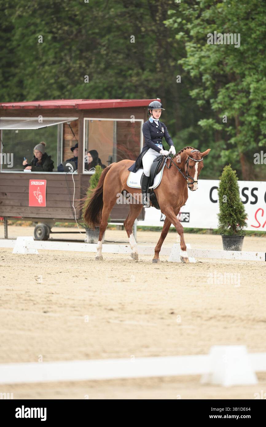 Wilma Bertilsson of Sweden with Cesar during the CCI3*-L dressage at ...