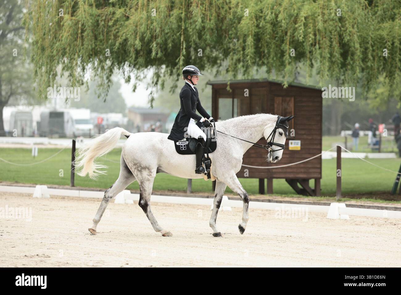 Antonia Baumgart of Germany with Lamango during the CCI3*-S dressage at ...