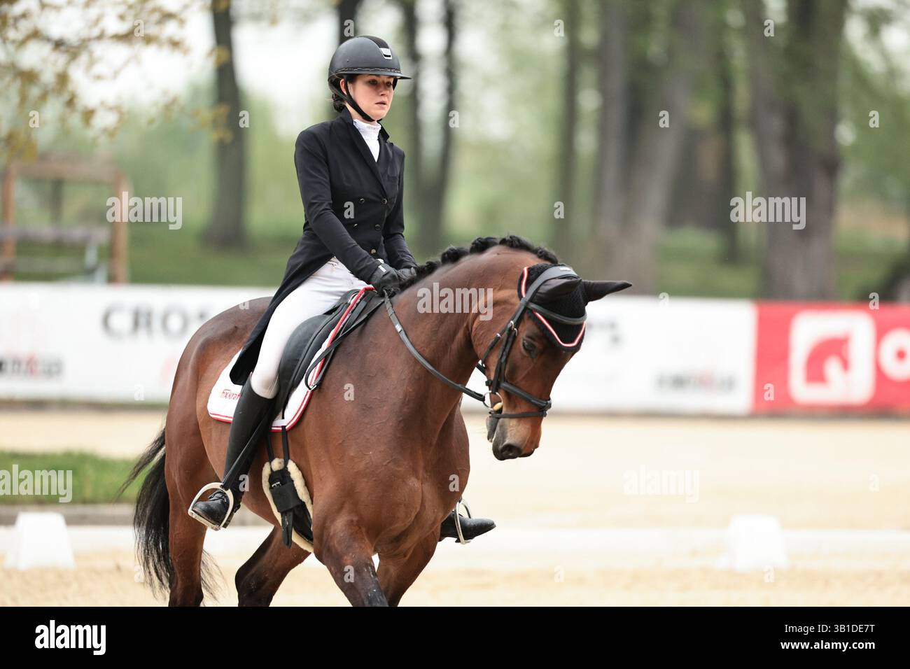 Helena Würmer of Austria with Highlight 9 during the CCI3*-L dressage ...