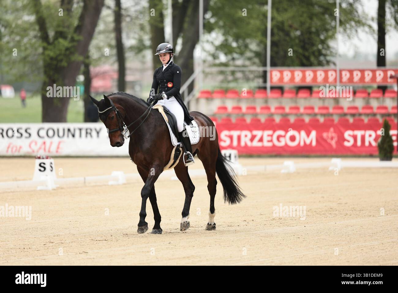 Antonia Baumgart of Germany with Ris de Talm during the CCI4*-S ...
