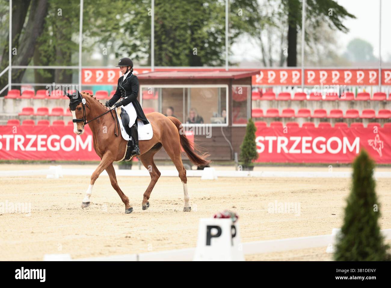 Julie Bilquez of France with Brin d'Or des Sources during the CCI4*-L dressage at the Strzegom ...