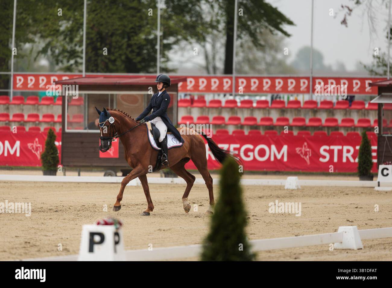 Kumru Say of Turkey with Baladin de l'Ocean LA during the CCI4*-L ...