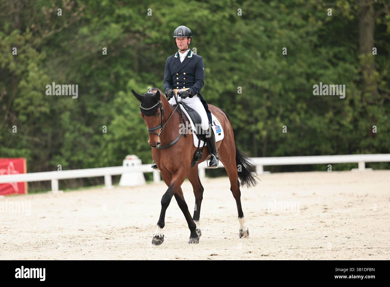 Kevin Mcnab of Australia with Lone Ranger during the CCI2*-L dressage ...