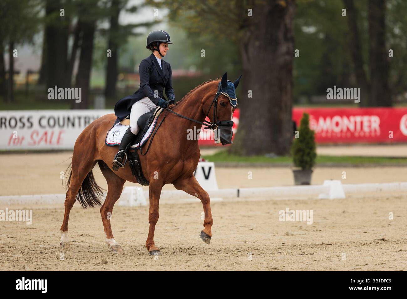 Kumru Say of Turkey with Baladin de l'Ocean LA during the CCI4*-L ...