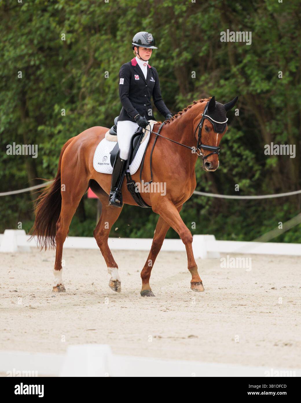 Lea Siegl of Austria with Zinzin Moretto during the CCI1*-Intro dressage at the Strzegom Spring ...