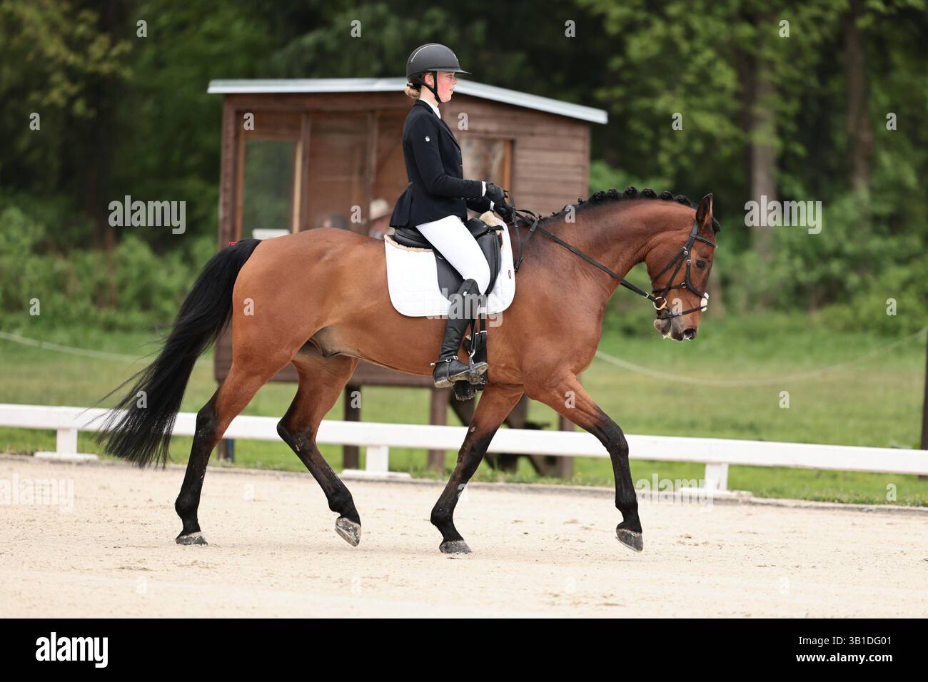 Astrid Friis Nilaus of Denmark with Bartoli Row during the CCI2*-L ...