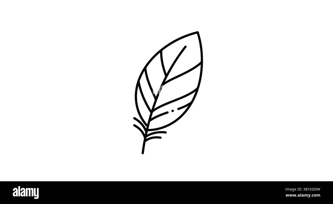 Minimalist Feather Illustration, Elegant Line Art Feather Design for ...