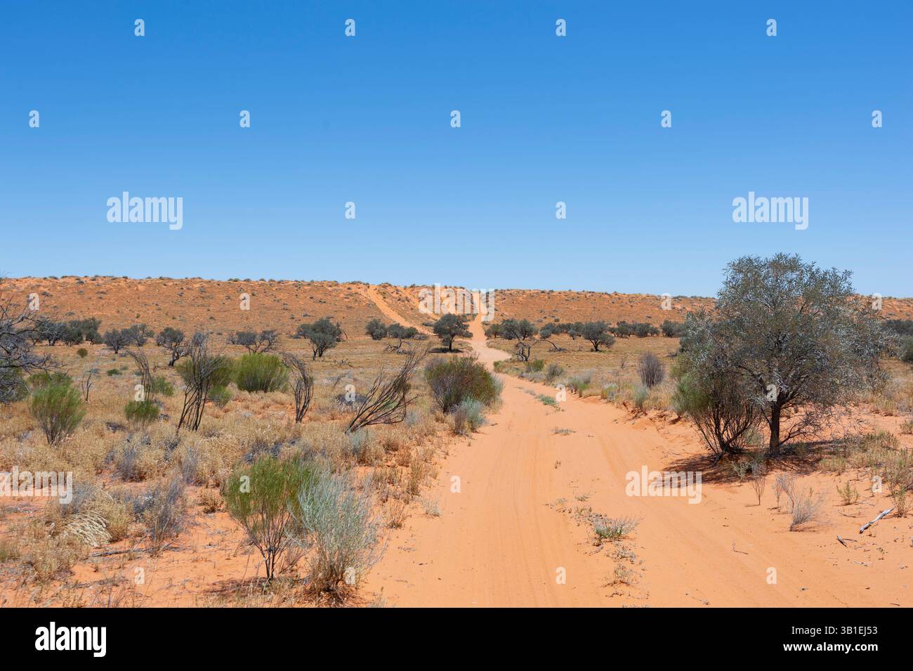 Remote track among sand dunes in the Simpson Desert, Australian Outback ...