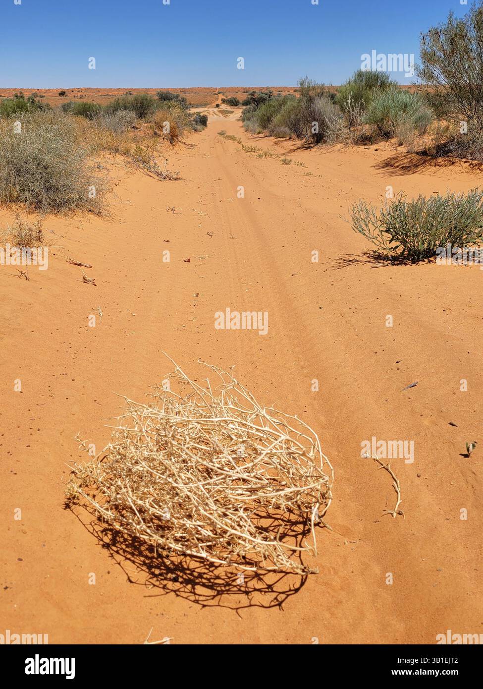 Remote track through the Simpson Desert in the Australian Outback ...