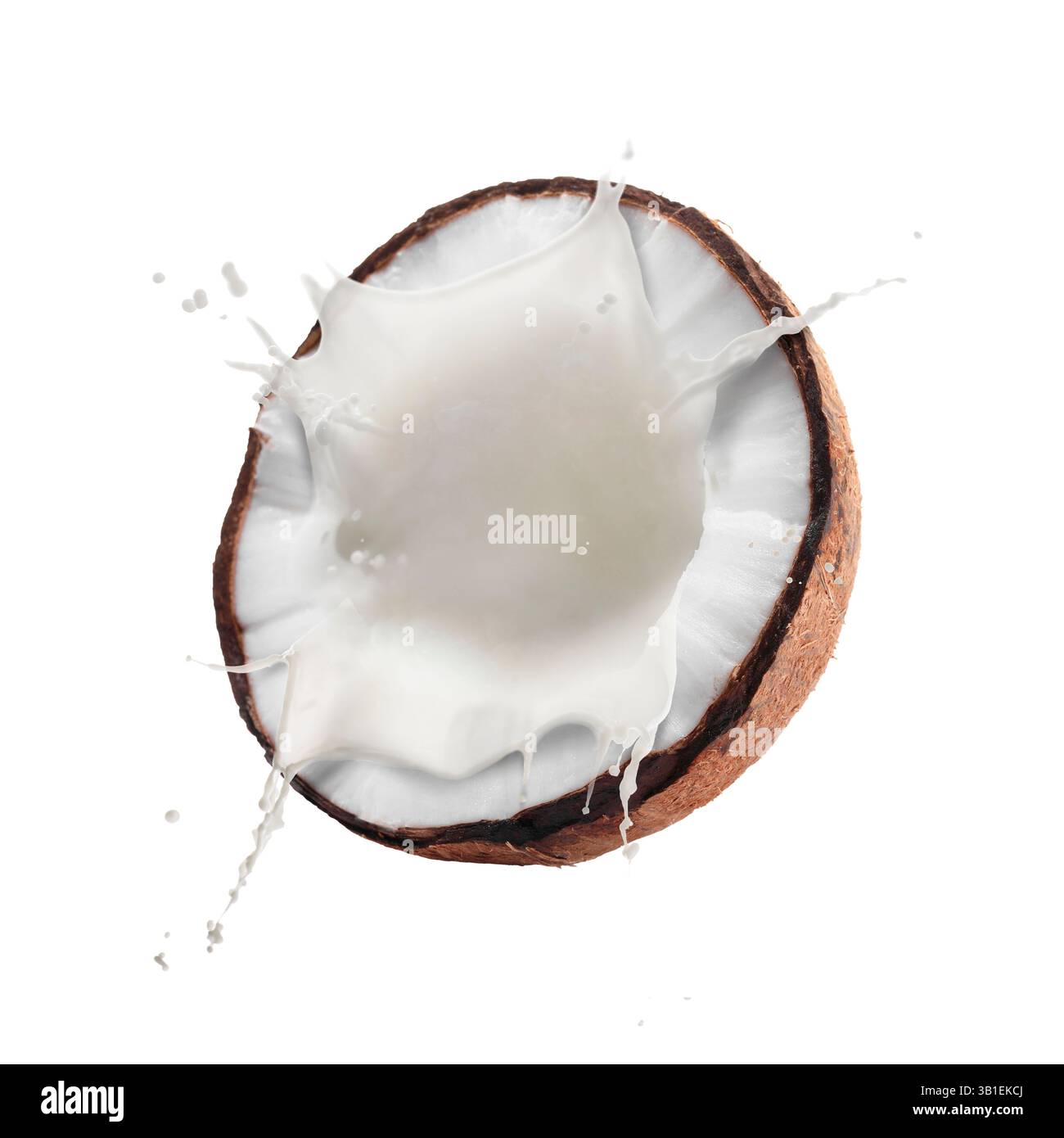 Fresh coconut milk splashing out of nut in air on white background ...