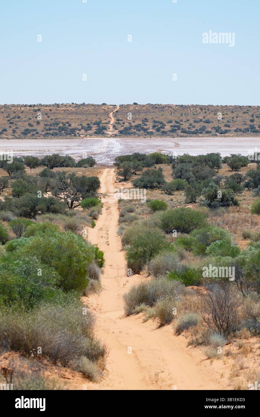 Red sand track running through salt pan and sand dunes in the Simpson ...