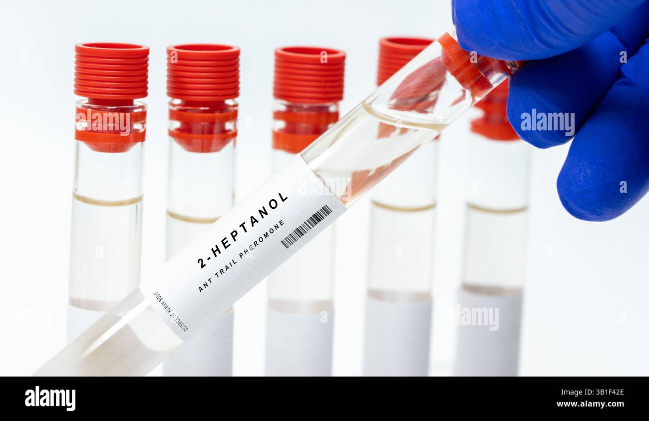 2-Heptanol. Ant trail pheromone. Used by ants to establish paths to ...