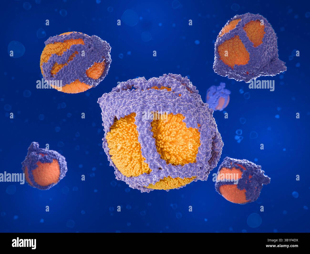 Illustration of low density lipoprotein (LDL), or 'bad' cholesterol ...