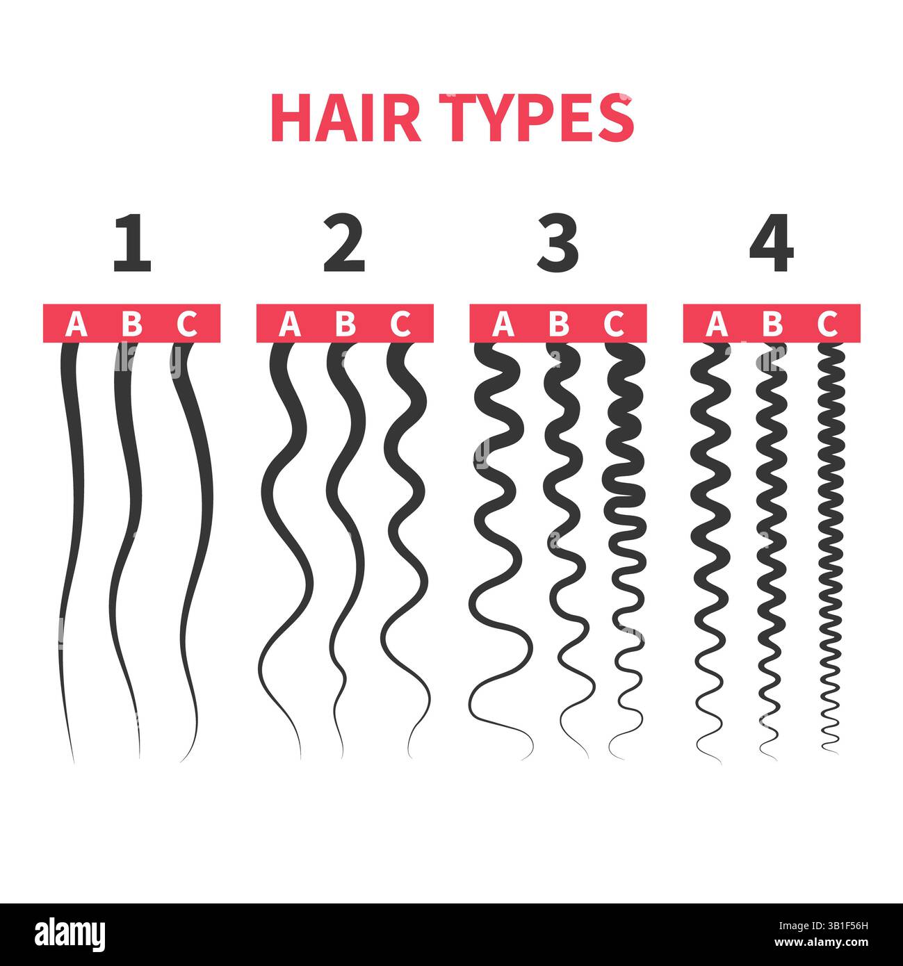 Hair types of straight, wavy, curly and kinky strands, illustration ...