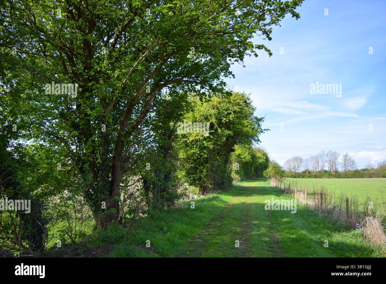 Nottinghamshire country scene hi-res stock photography and images - Alamy