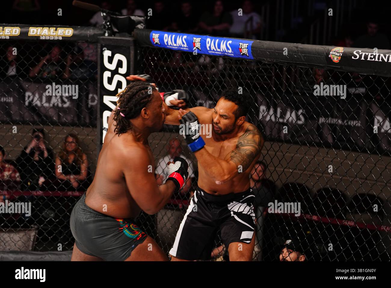 LAS VEGAS, NV - APRIL 25: Chisom Ukoha and Corey Owens steps in the cage for a 3-round bout at ...
