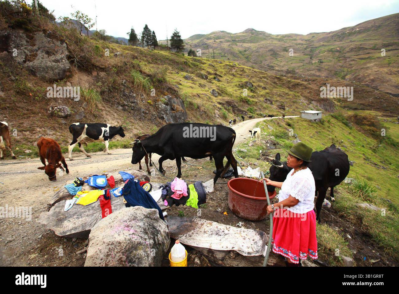 Poblacion de ger en canar del sobreviviente de mexico hi-res stock ...
