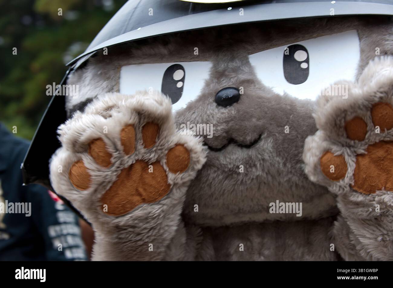 Shimasakonyan mascot hi-res stock photography and images - Alamy