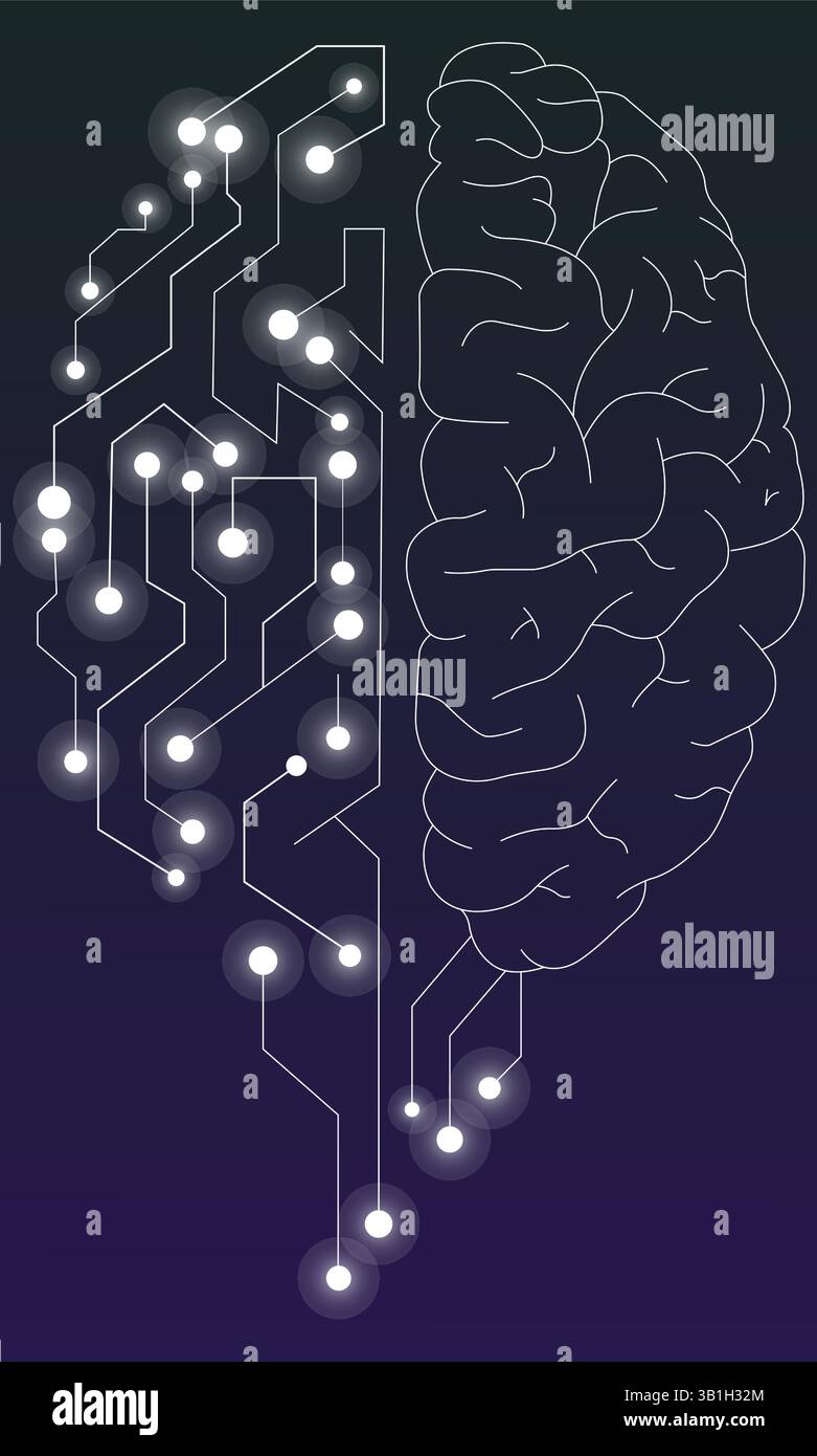 Human brain vector hi-res stock photography and images - Alamy