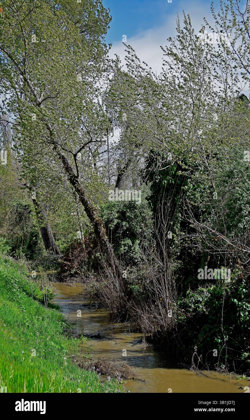 Alameda creek in union hi-res stock photography and images - Alamy