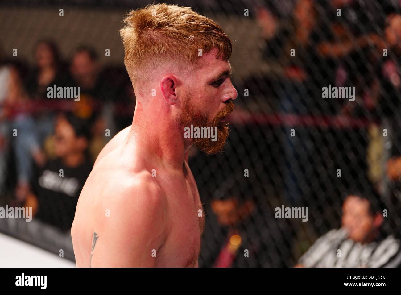 April 25, 2025, Las Vegas, Nevada, Las Vegas, Nv, United States: Kai ...